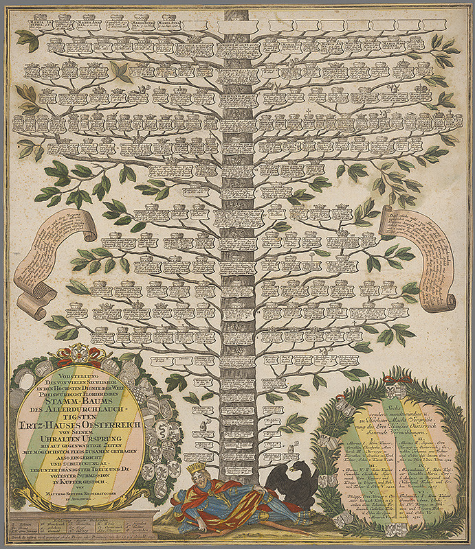 Mattheus Seutter - Rodostrom dynastie Habsburgovcov | Web umenia