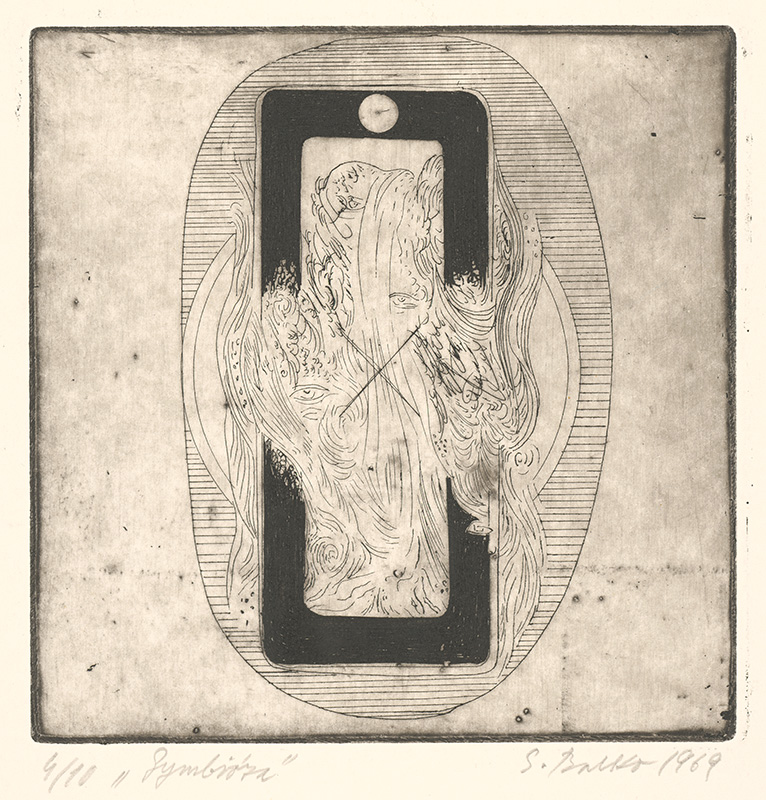 Stanislav Balko – Symbióza | Web umenia