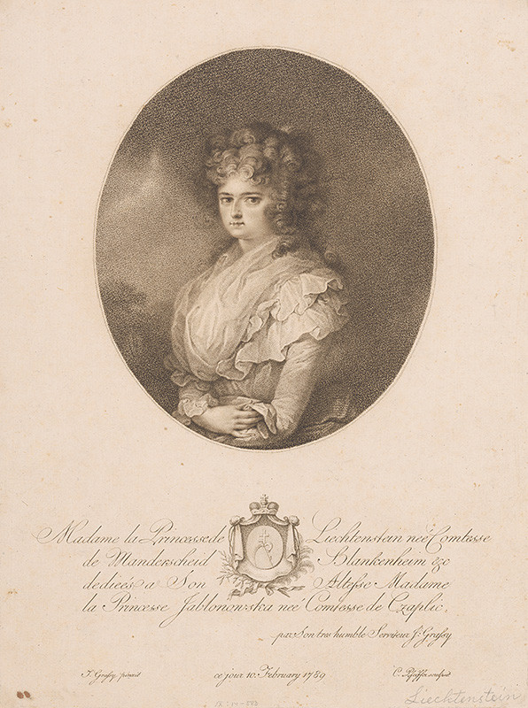 Carl Hermann Pfeiffer, Josef Grassi – Princezná Lichtenstein | Web umenia